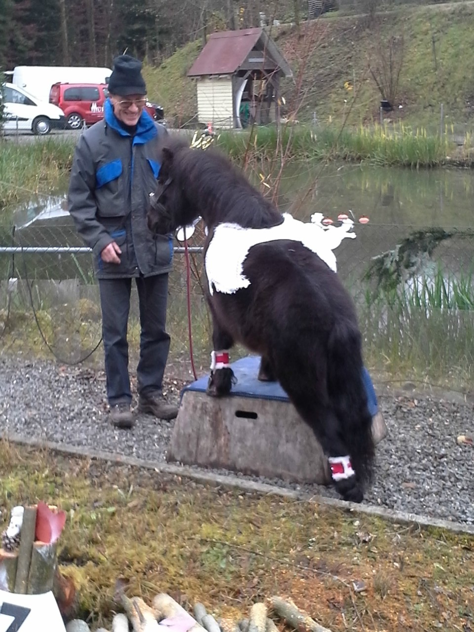 Am Shetty-Chlous-Parcours :: pony-hotel.ch